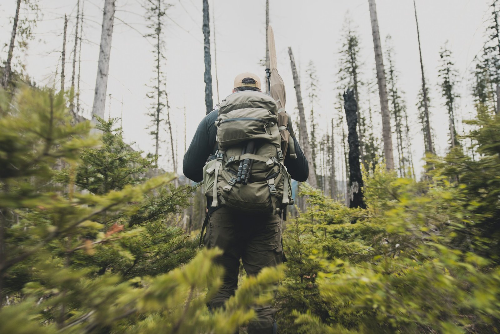 Deer Fox Vermin Control - About Us